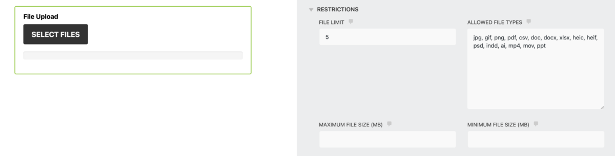 How to Allow Additional File Types in WordPress - Ninja Forms